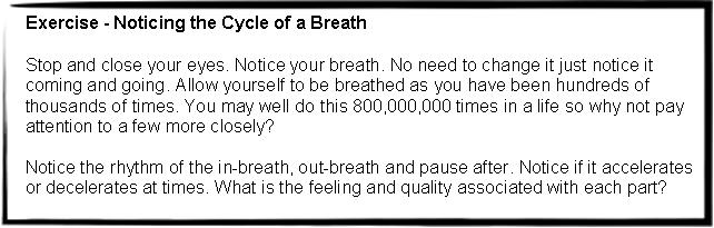 Leadership Rhythms – Life Cycles – Integration Training Blog